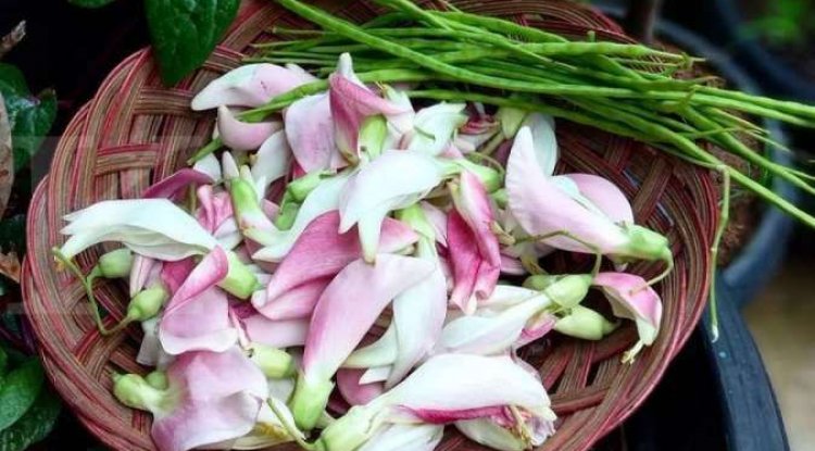 6 Manfaat Bunga Turi untuk Kesehatan dan Kandungan Nutrisinya